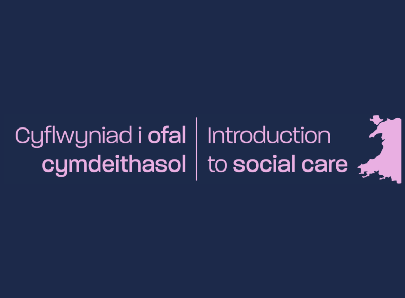 Logos toolkit | WeCare Wales